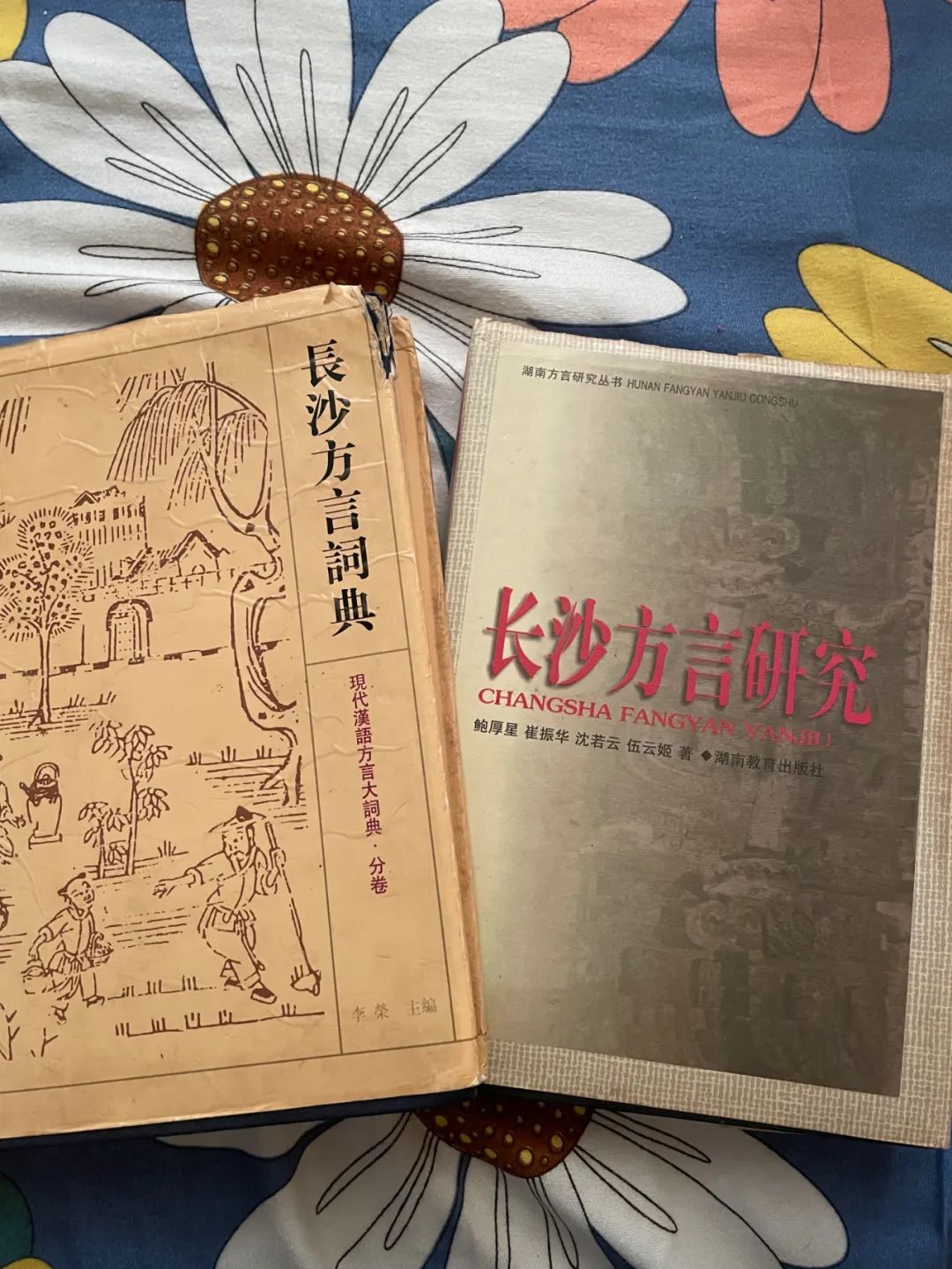 Why doesn't Changsha Metro use dialect to announce stations? - iNEWS