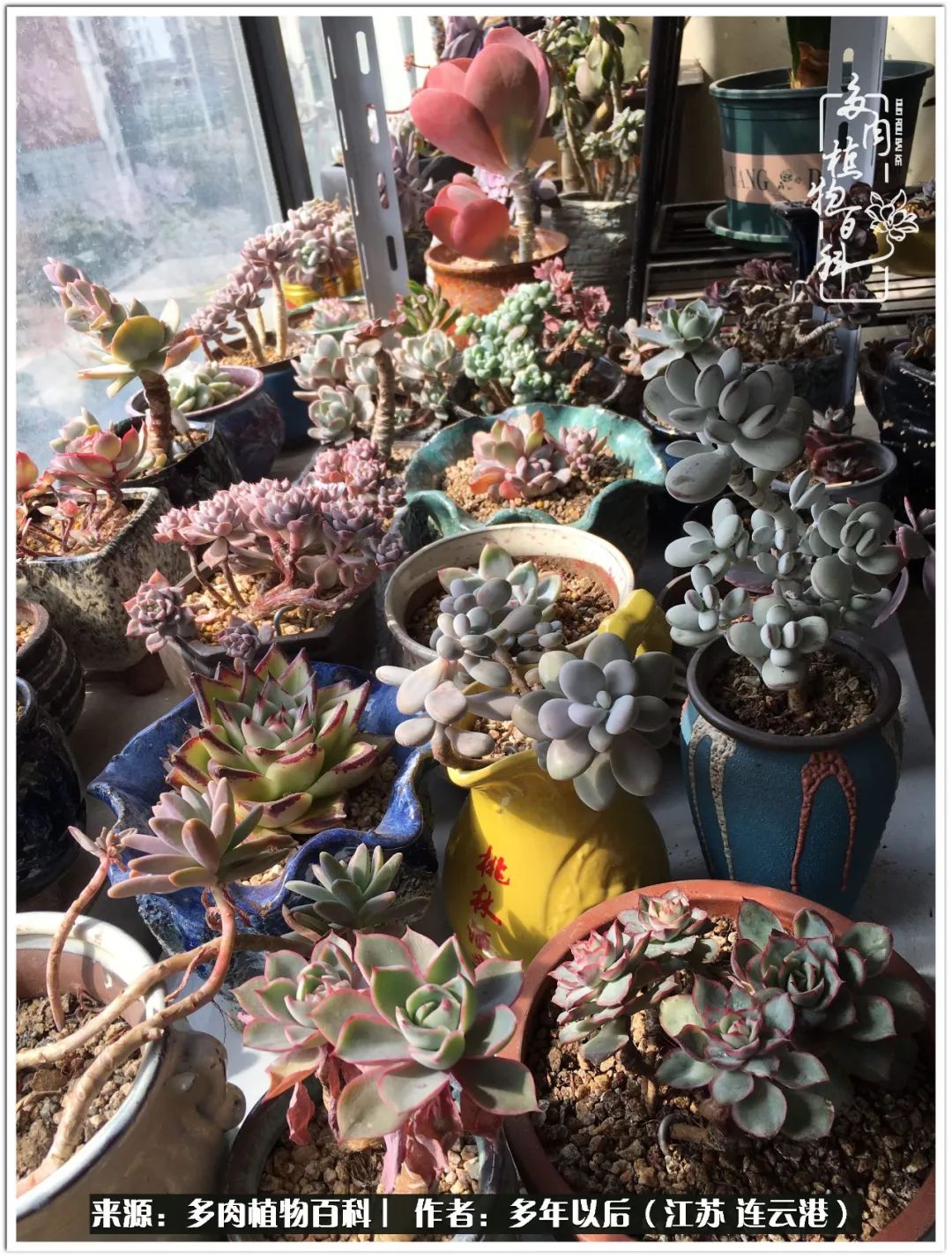 Two Years in the Pit: Meeting you is just the beginning of the story ...