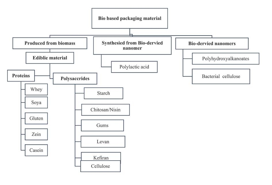 How to use bacterial nanocellulose to develop biodegradable food ...