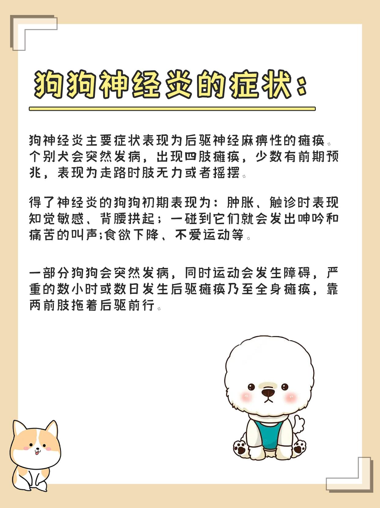 What causes neuritis in dogs? How to treat it? - iNEWS