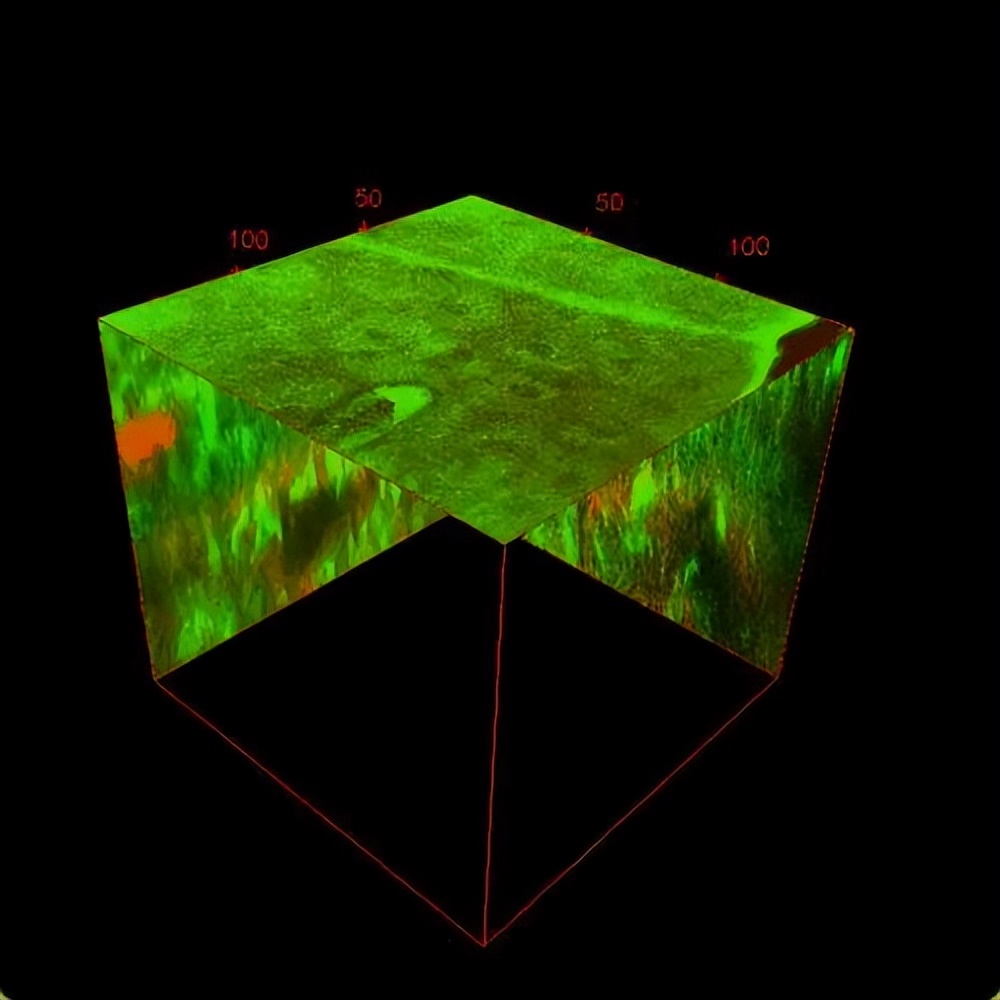 At that time, "the whole world was not optimistic", and now they have achieved many firsts! - iNEWS