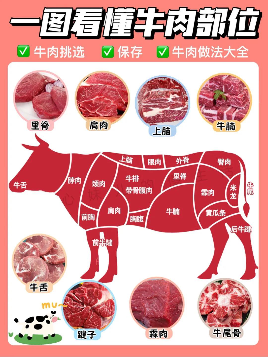 A picture to understand the beef parts, after reading this you are the ...