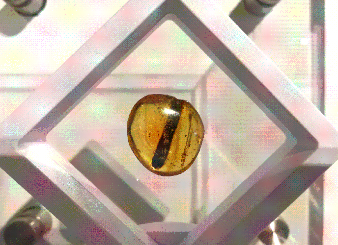 Awkward love that spans time and space: It turns into amber in the ...