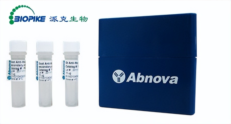 Precautions for the operation of Parker's HIV-1 p24 ELISA kit - iNEWS