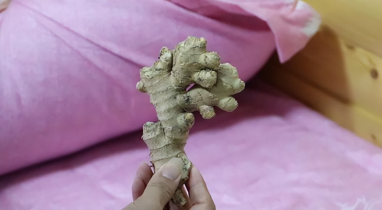 Before going to bed, you must remember to put a piece of ginger under ...