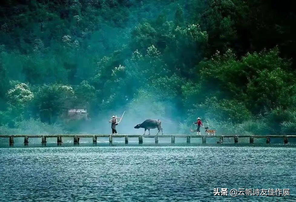 "Famous Poetry Master" Fan Shiyin's Poems - iNEWS