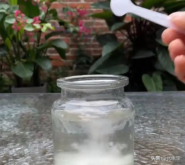 To grow flowers in spring and summer, pest control should be done early ...