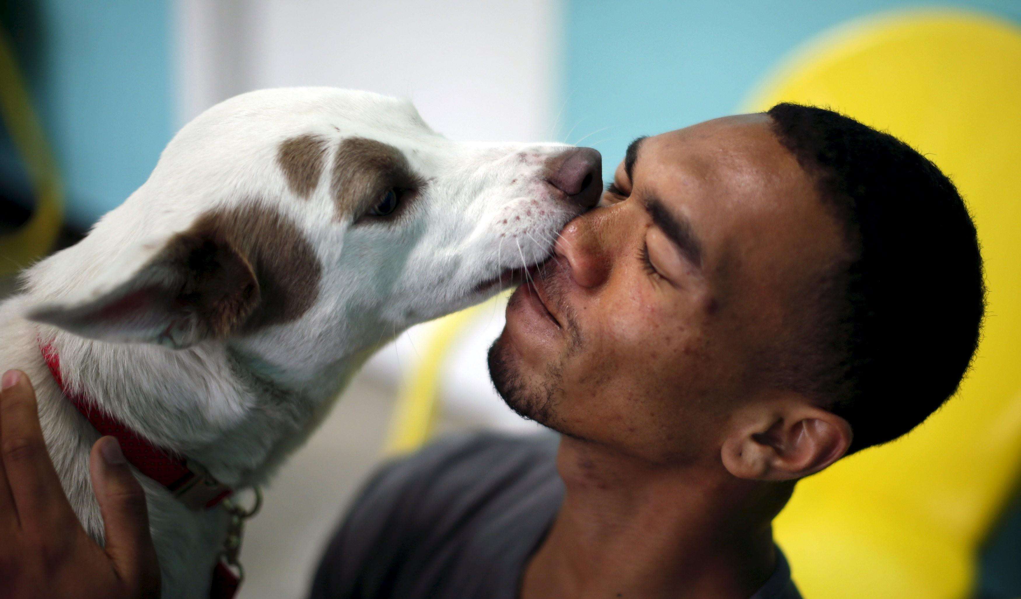 These intimate actions, the more dogs do, the more they like you - iNEWS