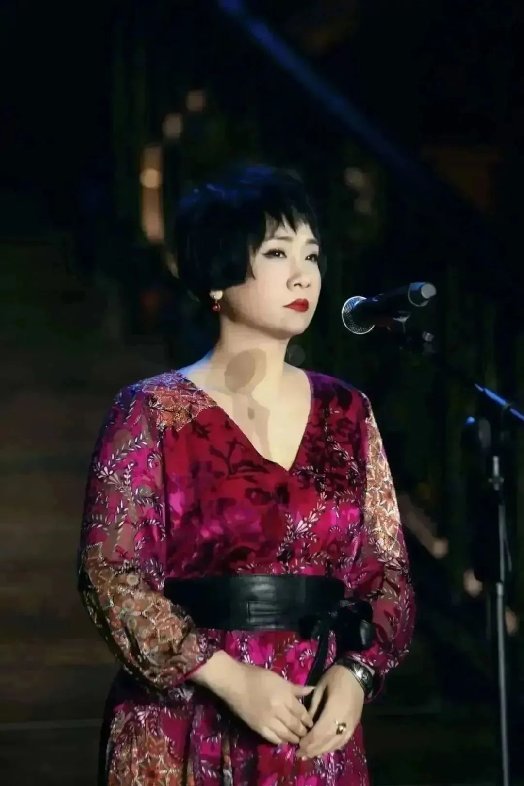 Do you like the song "Ruan Langgui·Manyuan Spring Outing"? - iMedia