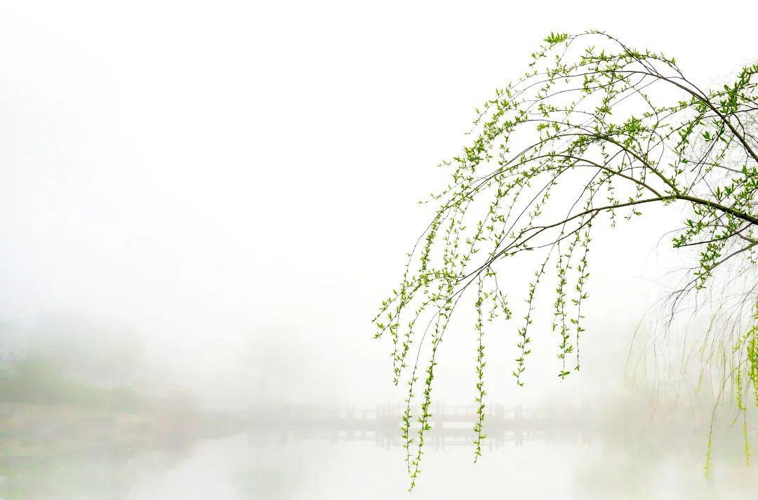 Ten spring poems, neither cold nor warm and rainy, the city is full of ...