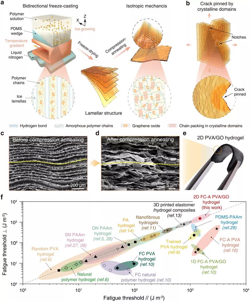 The latest AM of SUSTech Liu Ji's team: Bionic two-dimensional anti ...