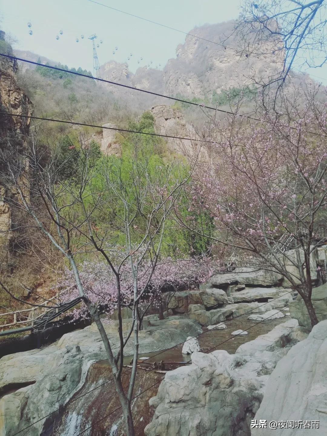 I have a severe fear of heights, but bravely took the cable car back to ...