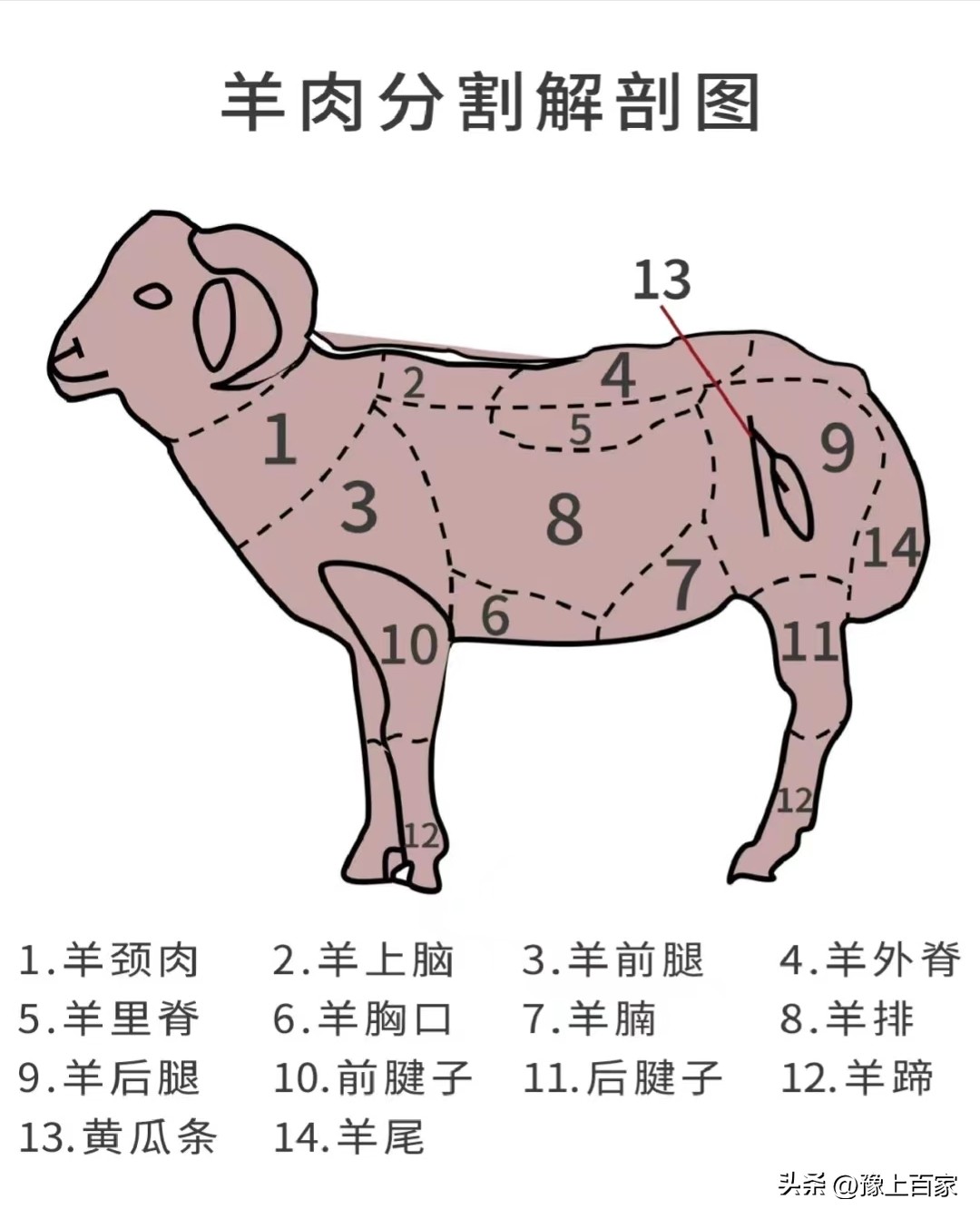 How much do you know about the differences and uses of common mutton ...