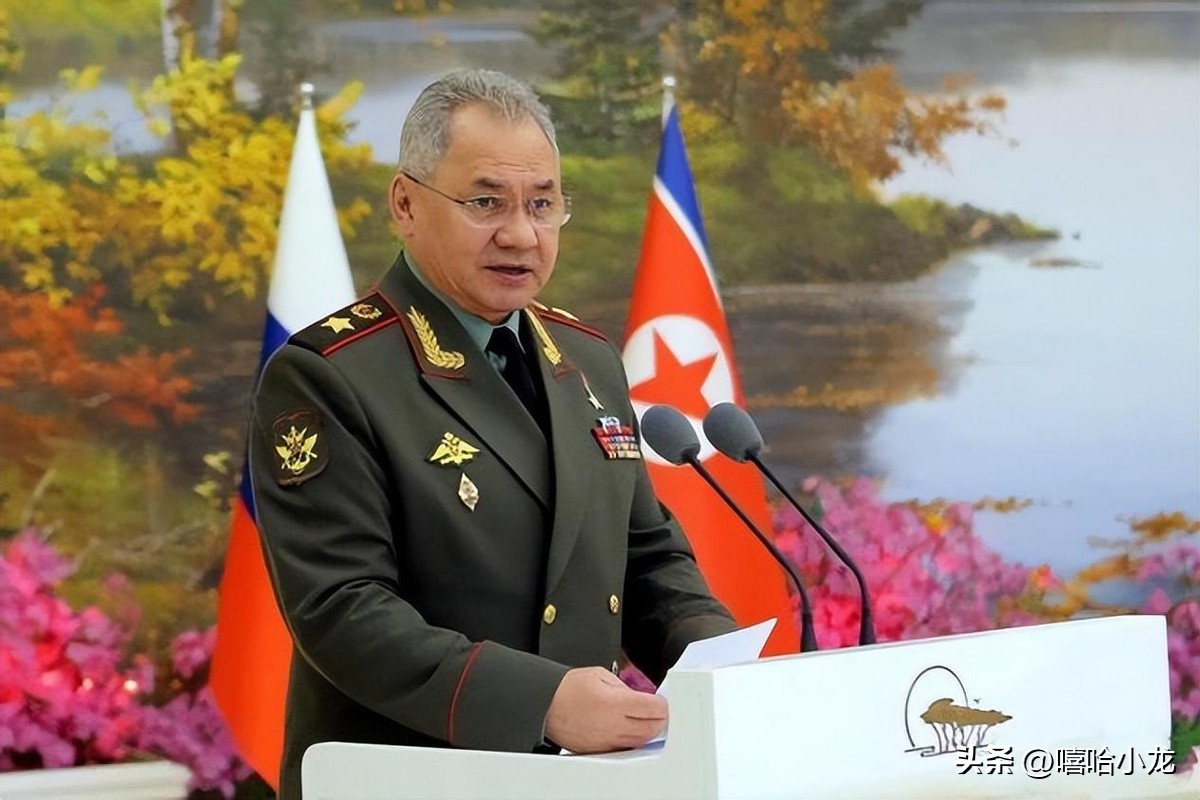 North Korea's display of force has attracted global attention. Shoigu ...