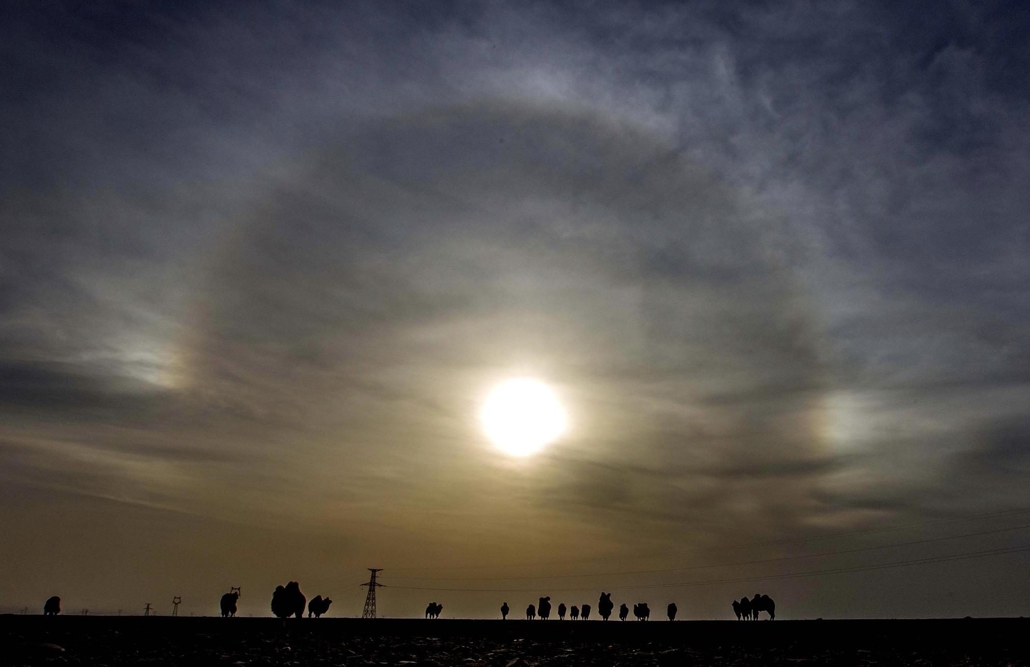 Rare Atmospheric Spectacle: Subsolar, Have You Ever Seen It? - iMedia