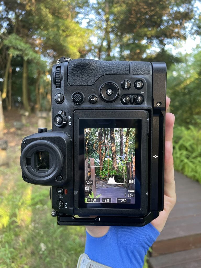 Do you prefer to choose auto focus or manual focus when taking pictures ...