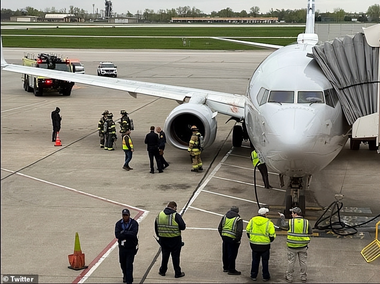 Boeing 737 flight was hit by geese during flight, engine spit fire into ...