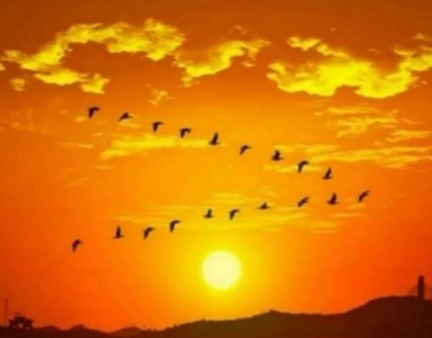 Original Jin Rong Poems: Autumn in the Mountain Village (outside four ...