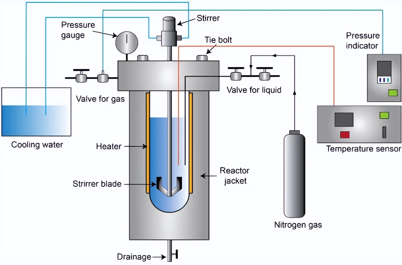 Progressive Carbonation and Calcium Transfer in Serpentinized ...