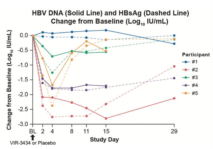 Hepatitis B new drug VIR-3434, phase 1 in viremia, single-dose DNA and ...
