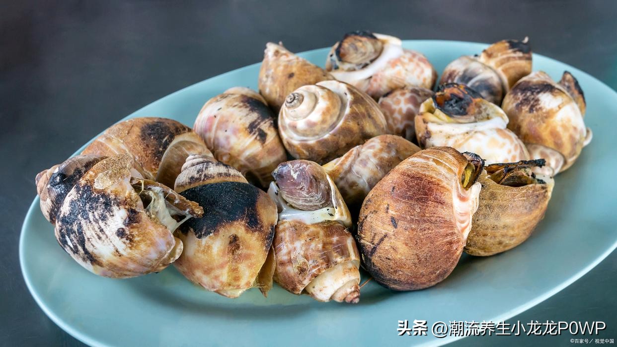 Exploring the cooking time of small conch: the perfect combination of ...