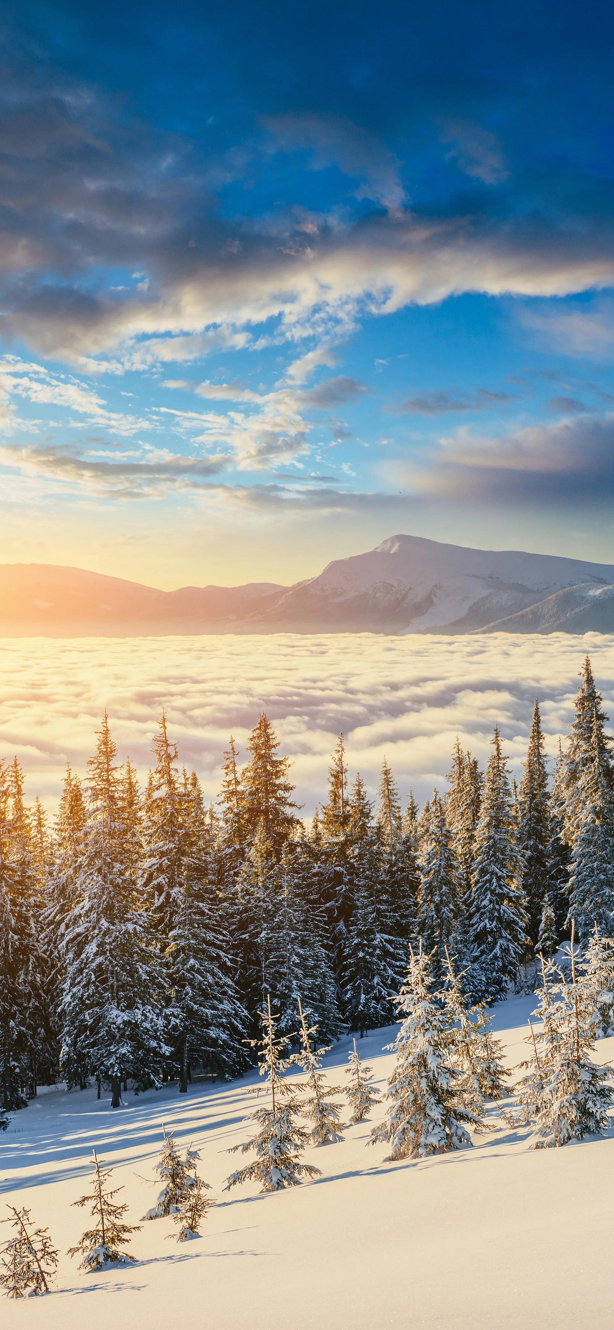 Read four warm poems, may you be warm day and night, and warm in all ...