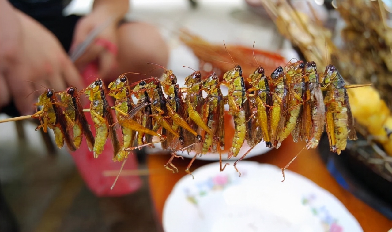 Why did the locusts that have endangered China for thousands of years ...