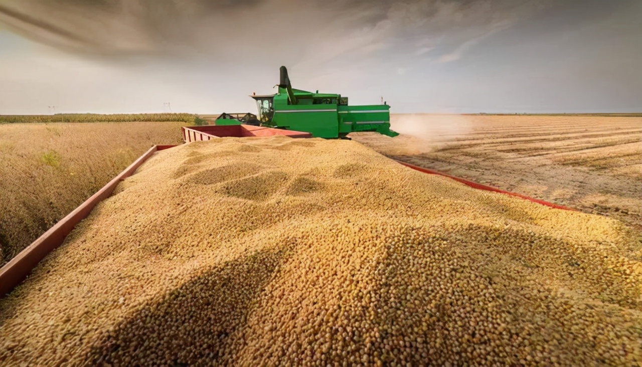 The 5 countries with the highest food self-sufficiency rate in the ...