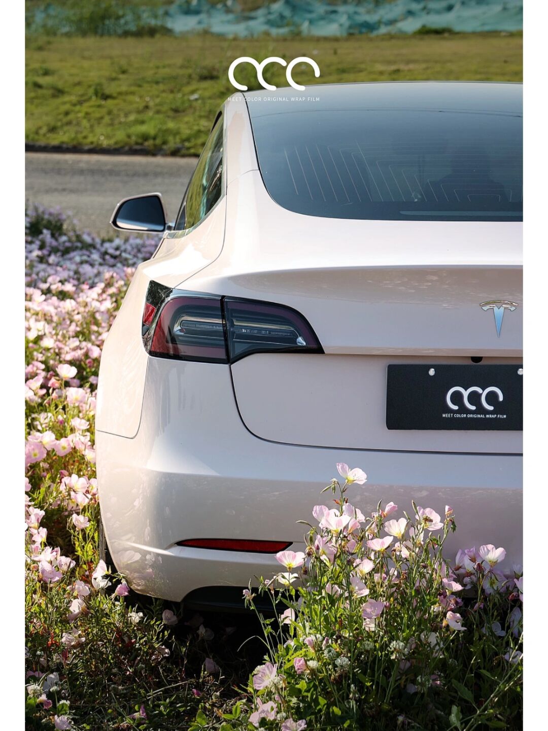 Tesla diffuse color change film Sanyu powder is the most free ink ...