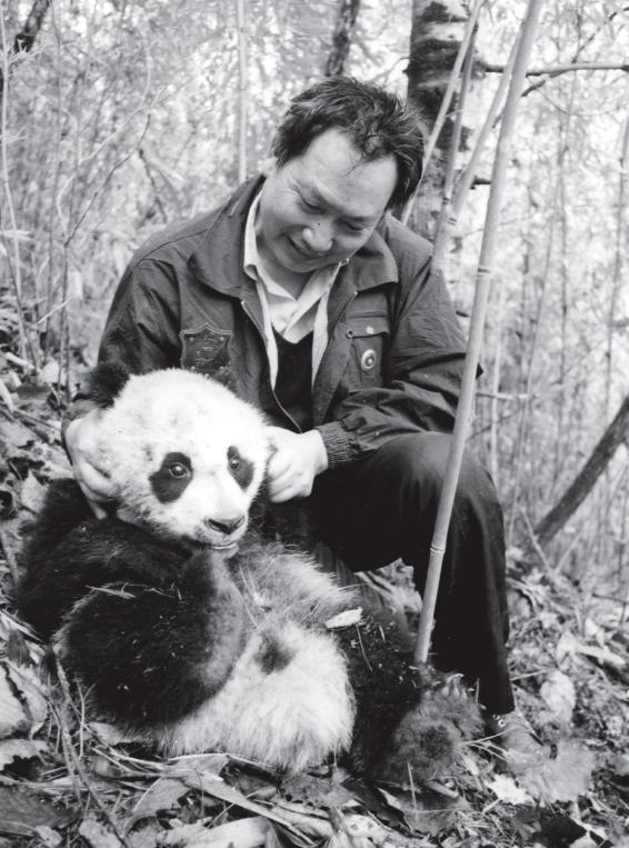 The first person to study giant pandas in China "Father of Giant Pandas ...