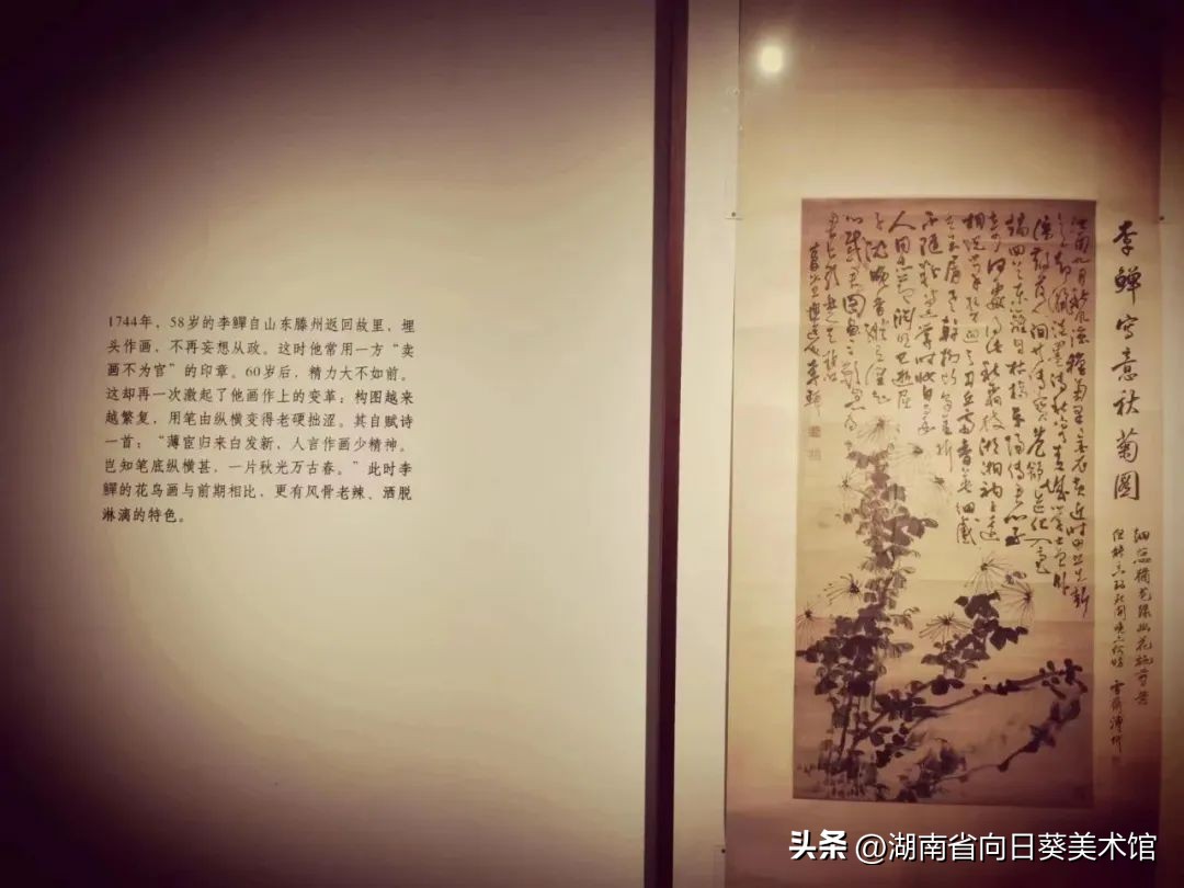 52 rare collections exhibited in Changsha, taking you into the world of ...