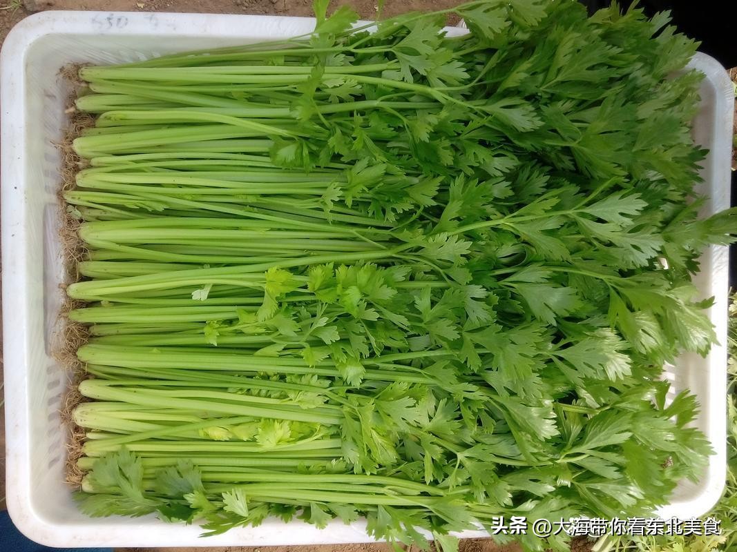 What should I do if the celery is too hard to cook or eat? Teach you 1 dish and 3 meals are ...