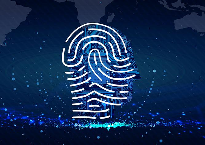 How did the fingerprints come about? Uncover the mysteries of human ...