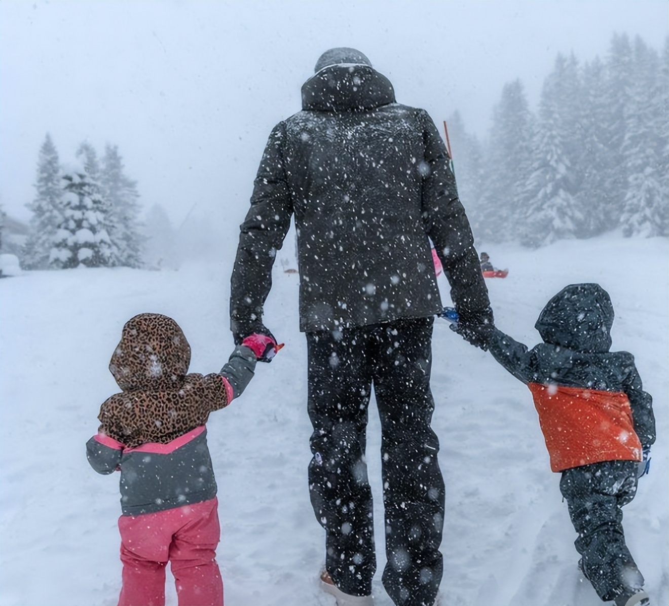The princess of Dubai was hidden in the snow, gave birth to twins and ...