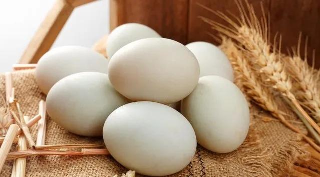 The rotten duck eggs in my childhood memory - iMedia