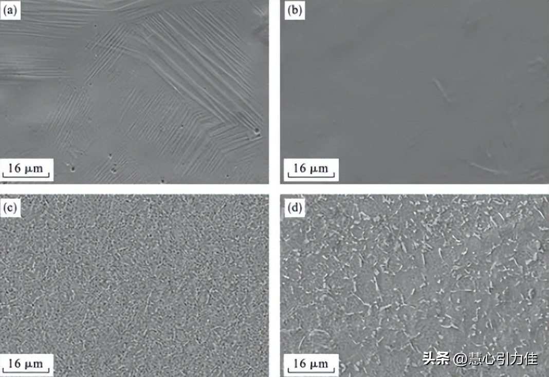 Effect of Fe Alloy Doping on Martensitic Transformation and Magnetic ...