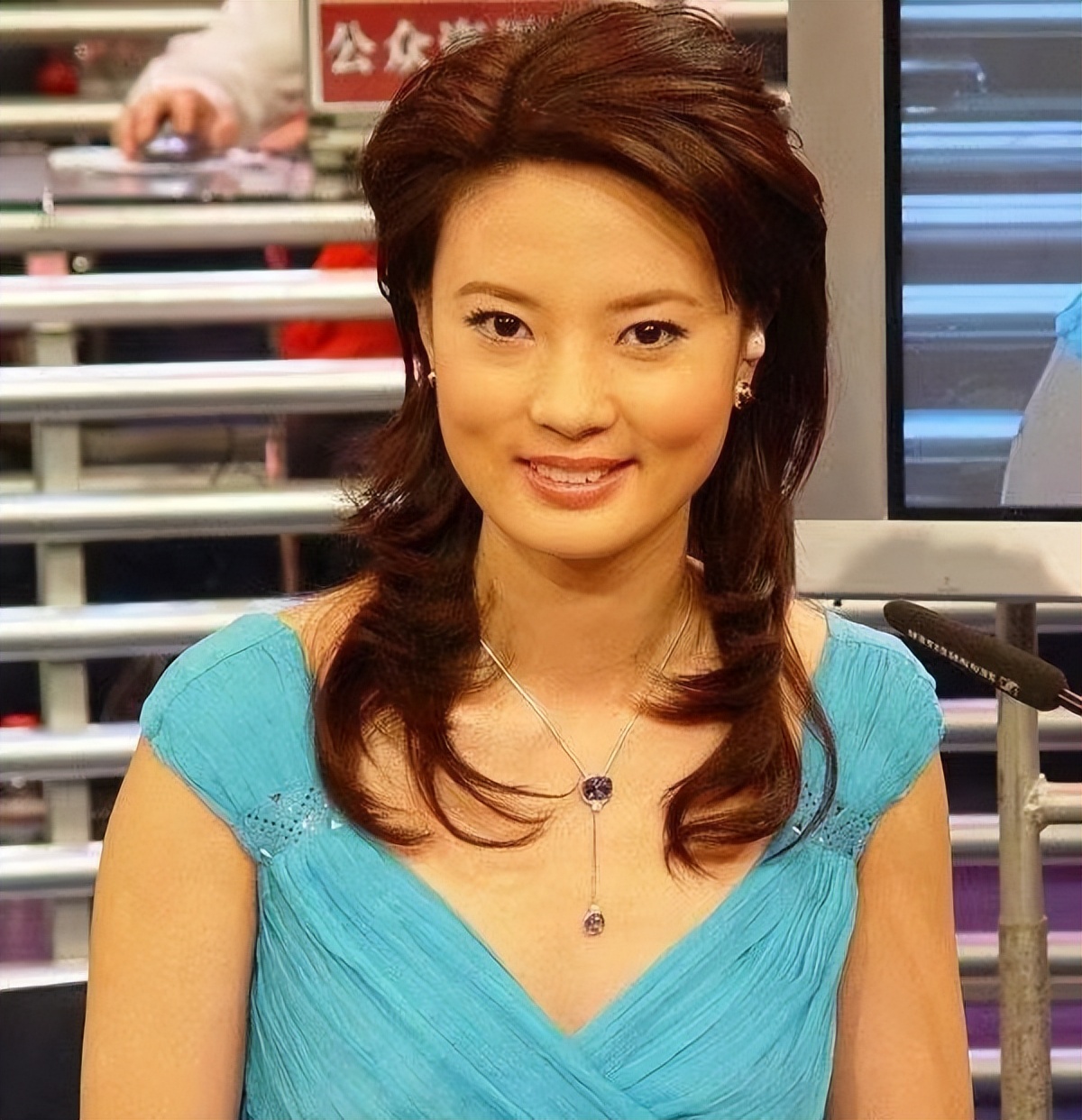 CCTV host Liu Fangfei, her ex-boyfriend was sentenced to death with a ...