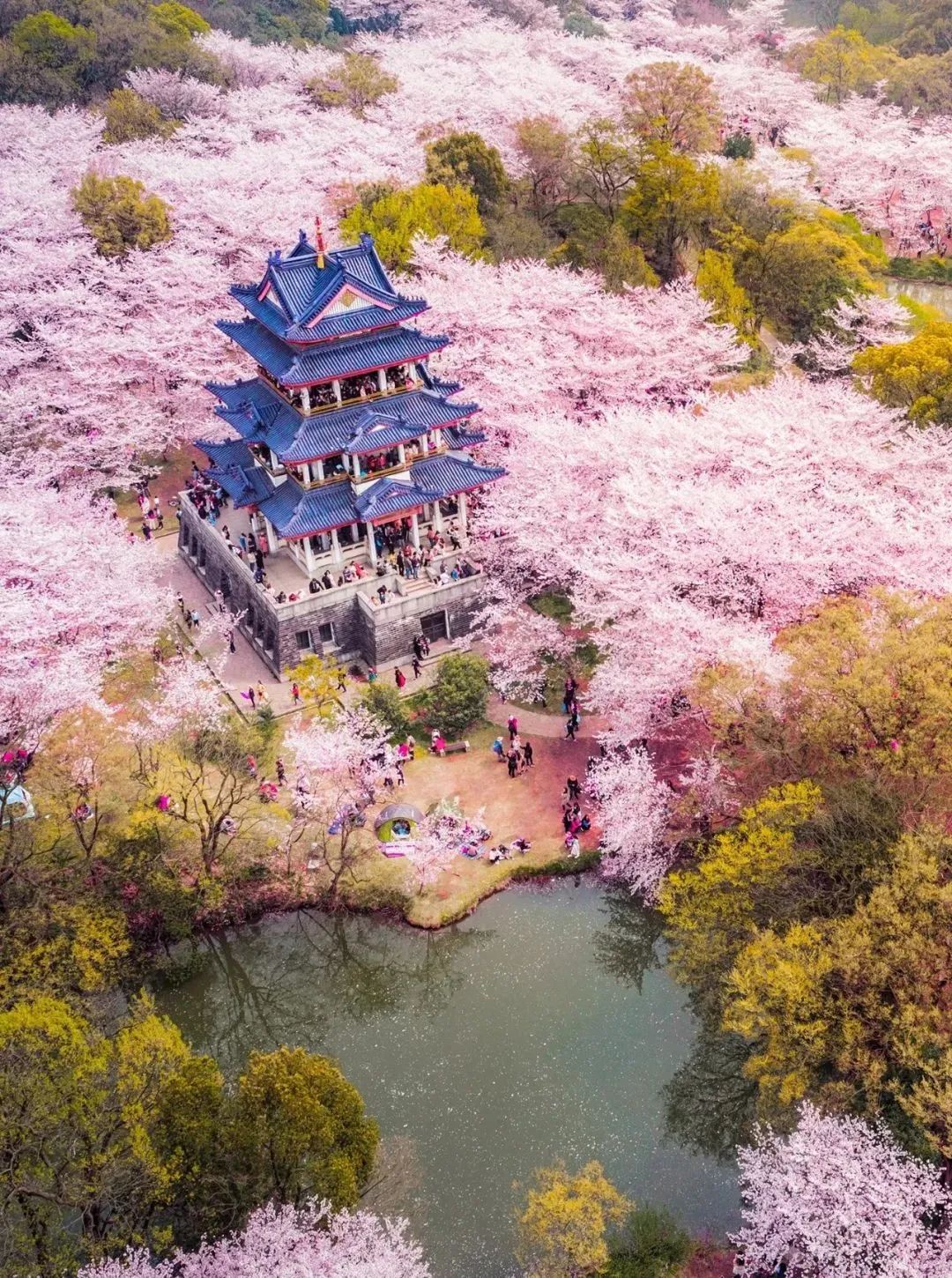 The most beautiful spring in China: most people can only see here this ...