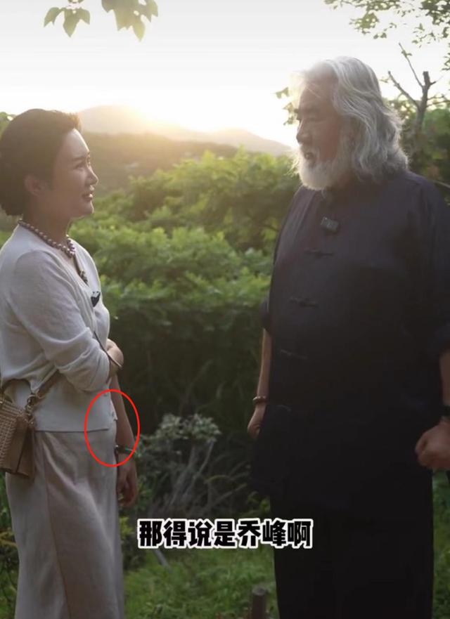 72-year-old Zhang Jizhong appeared in the confinement center, Du ...