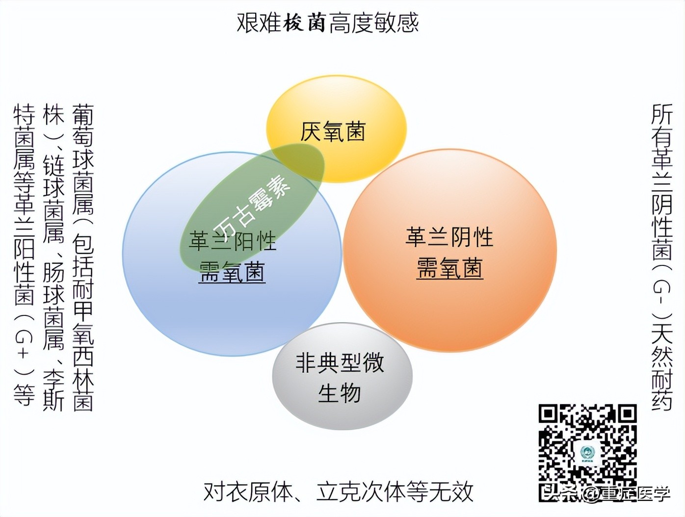 Antibacterial spectrum of vancomycin, tigecycline, linezolid, polymyxin ...