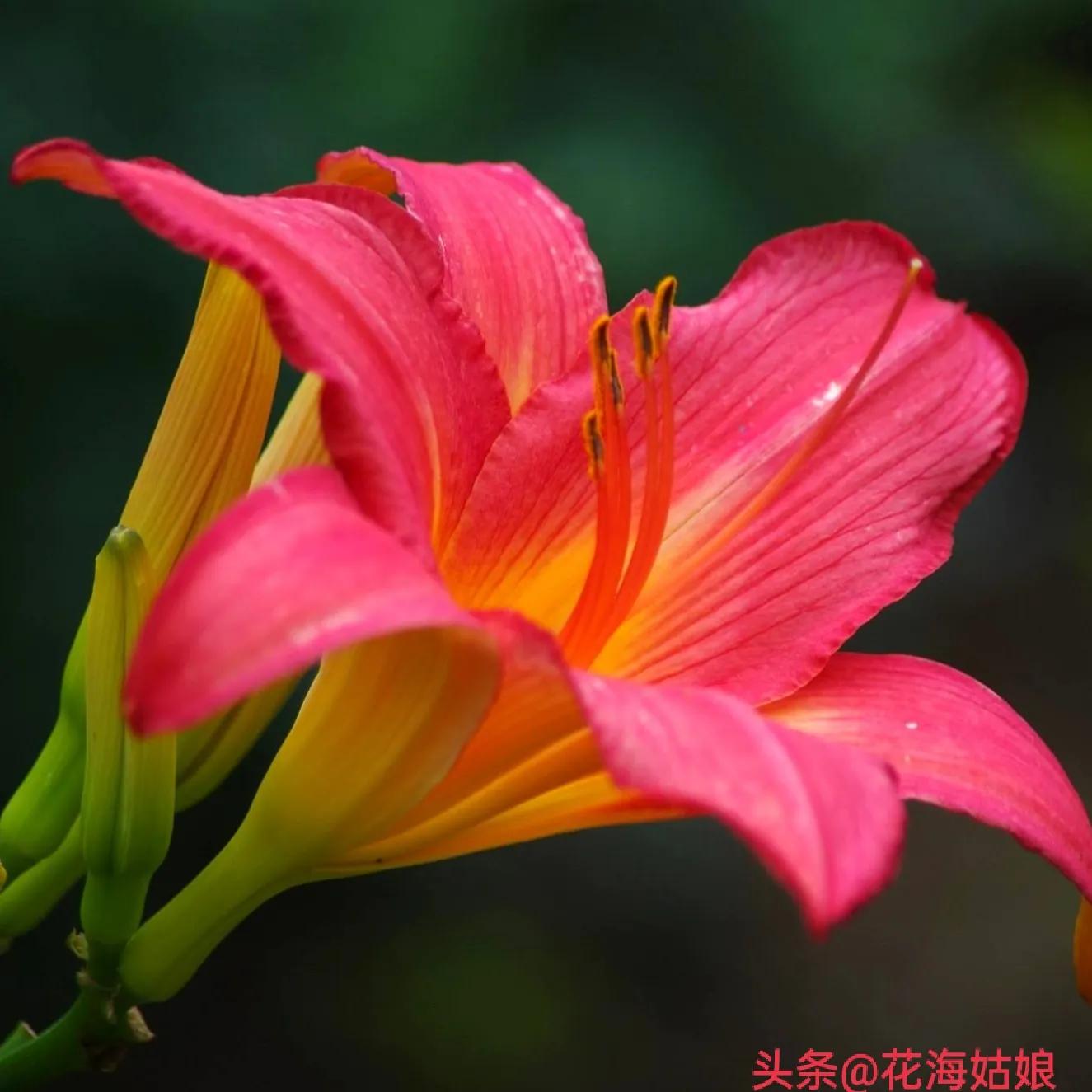 Take the time to shape yourself - iNEWS