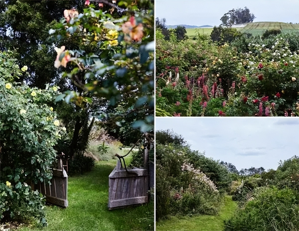 Learn about Tasmania and its early gardens, and the island's rich and ...