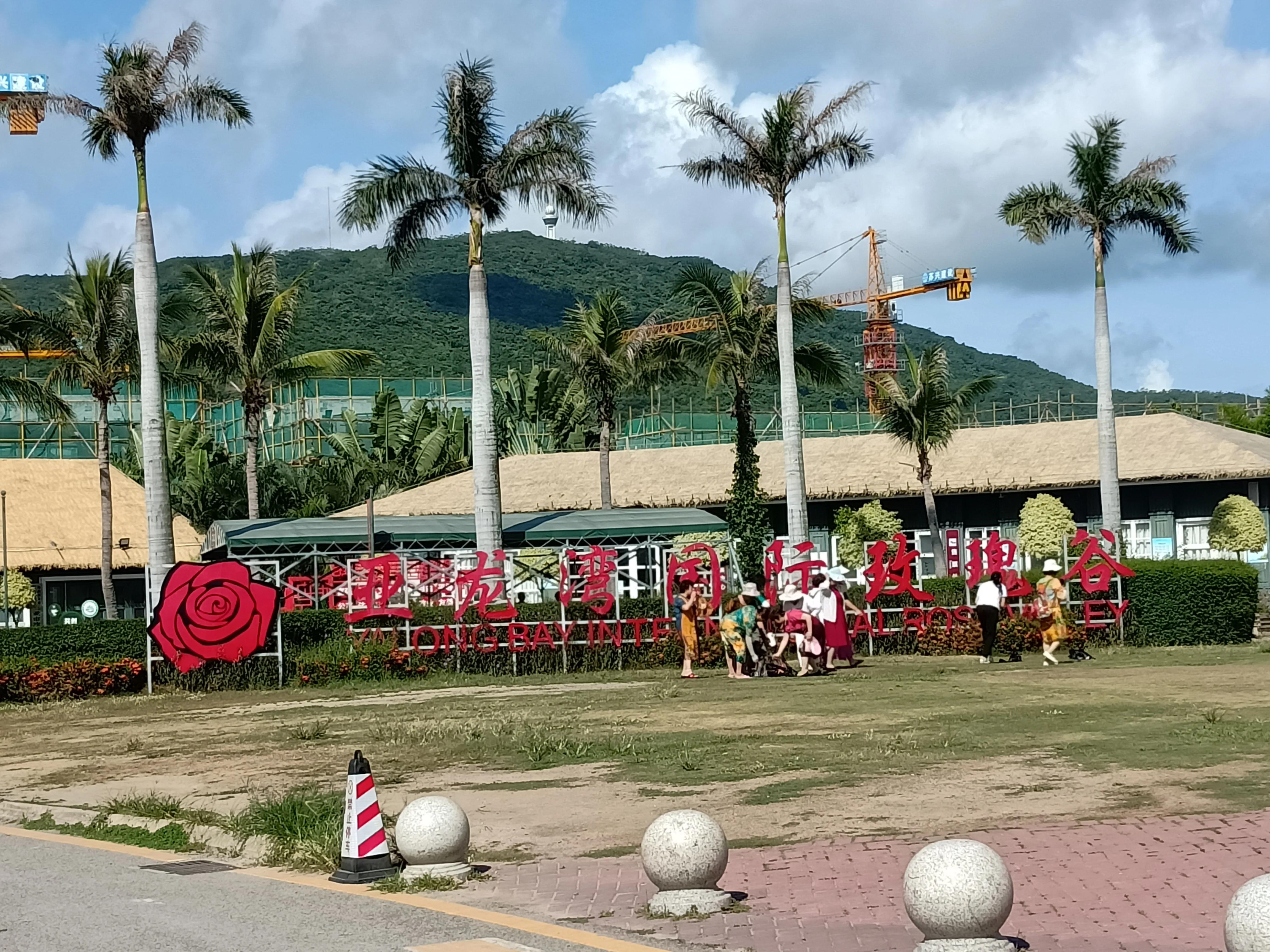 I like white roses and red roses, but I prefer peonies - Discovery from ...