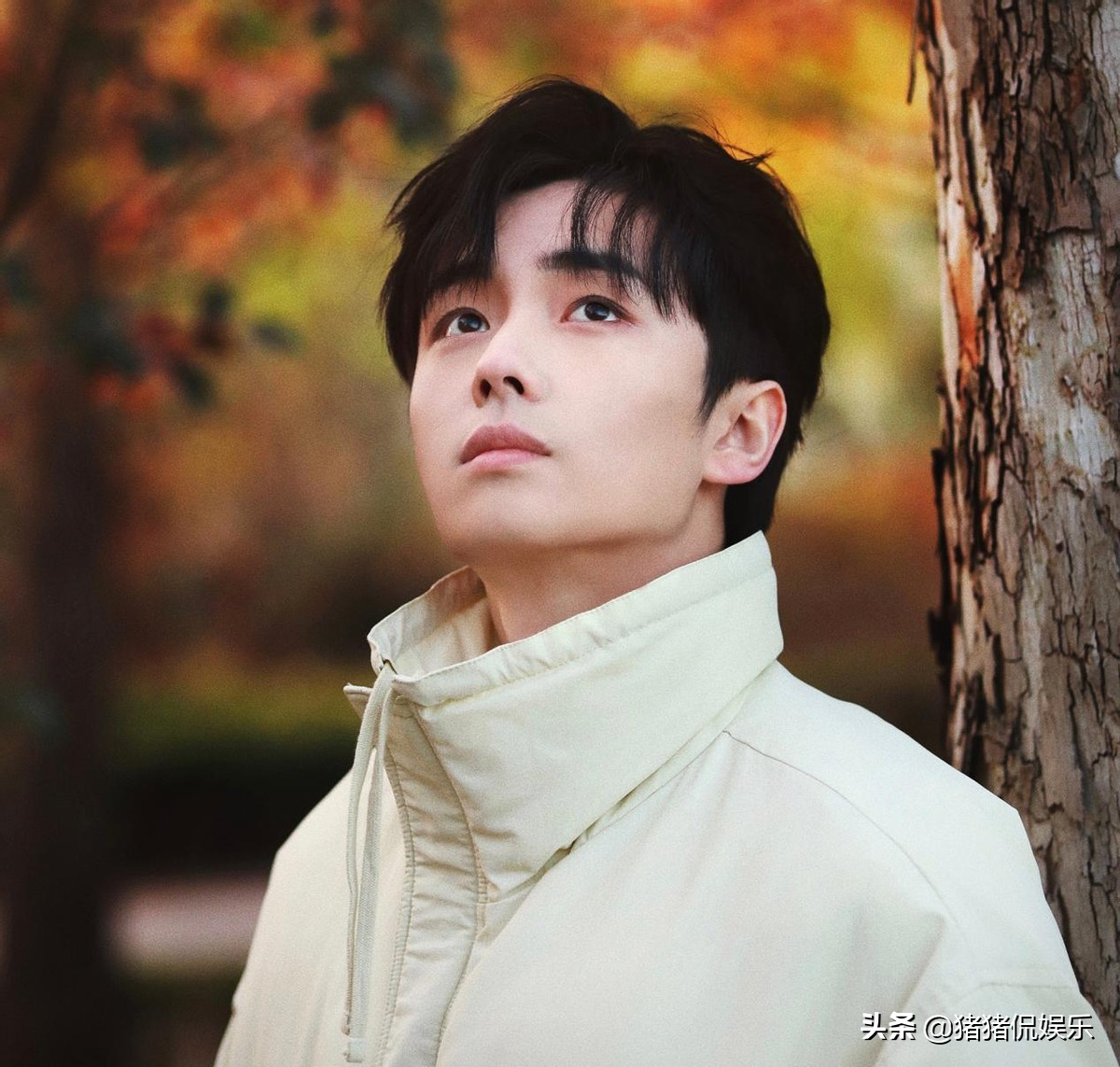 Fei Xing brings a big female sovereignty plot to attack, partnering ...