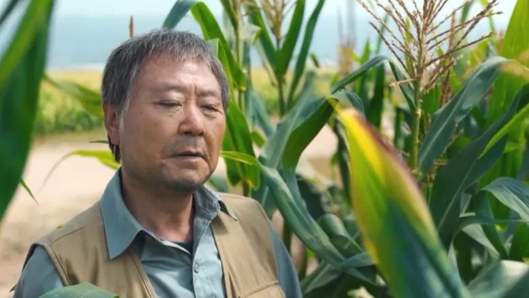 "The Long Season": The male protagonist is a surprise, but the 45-year ...