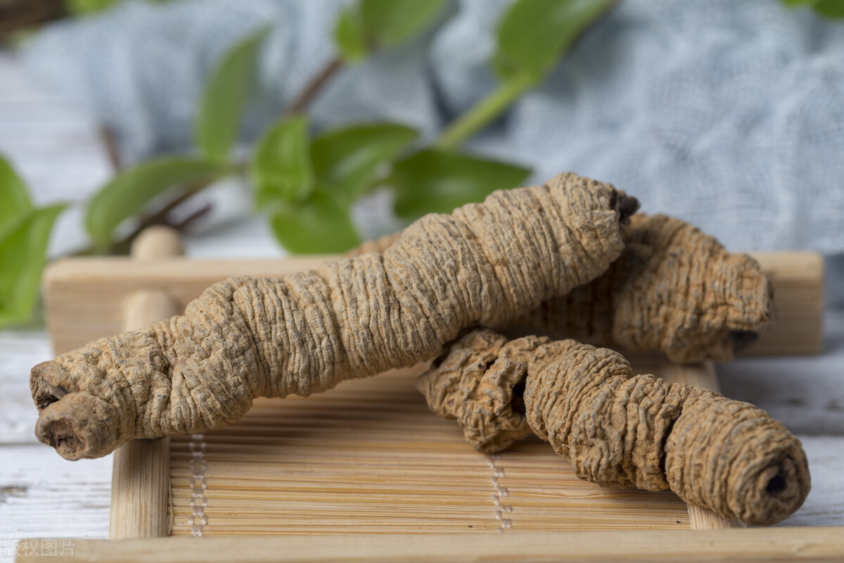 Tonify kidney yang, strengthen muscles and bones, and easily treat ...