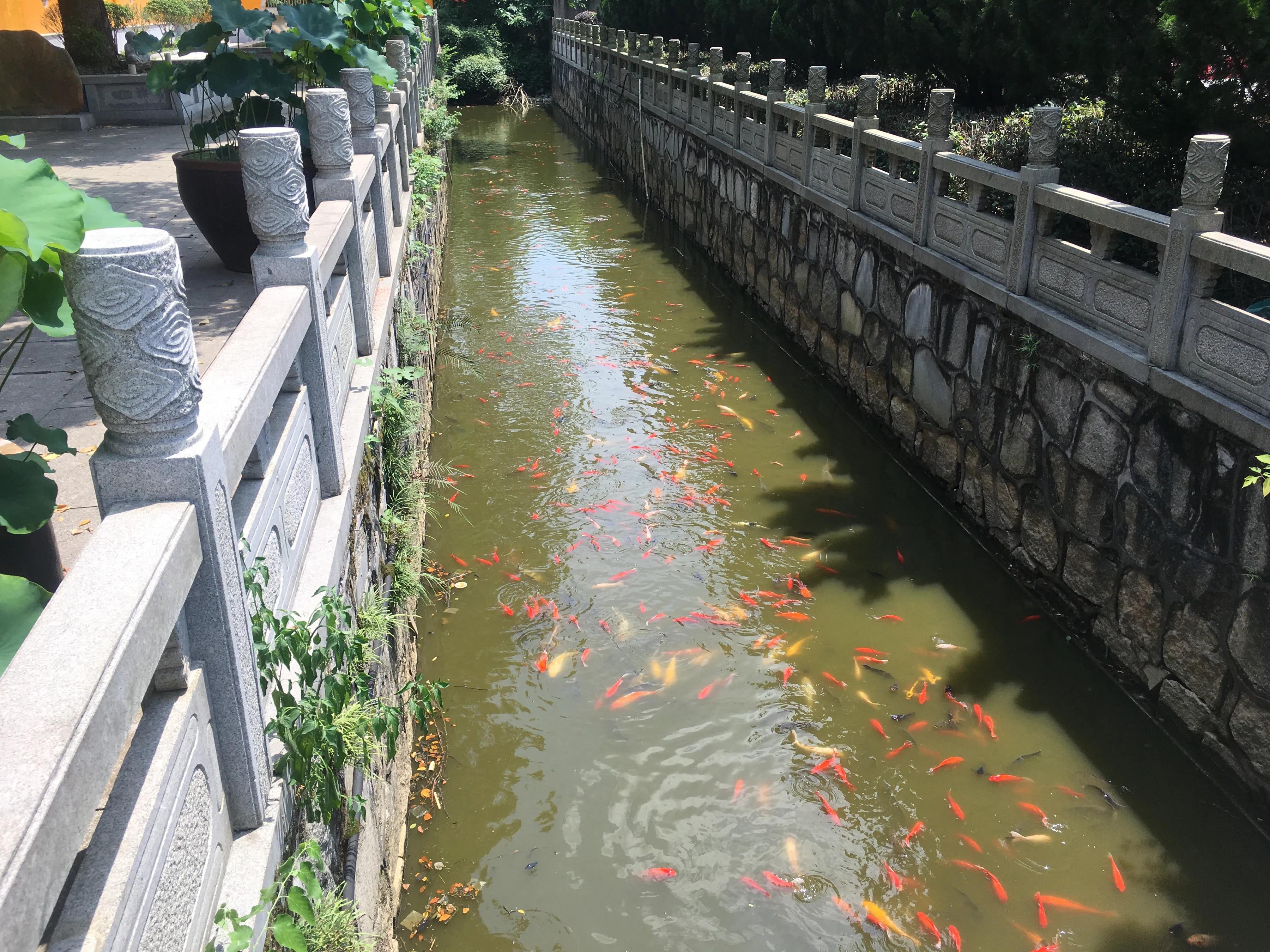 Refreshing one by one Xixin Temple - iNEWS