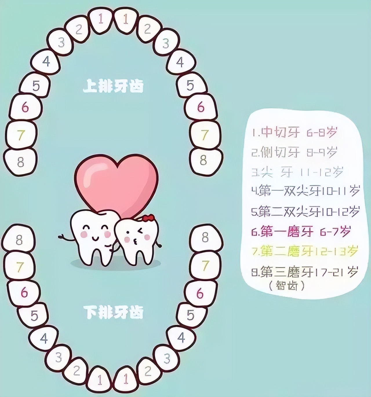 Baby teeth changing schedule, worth collecting - iNEWS