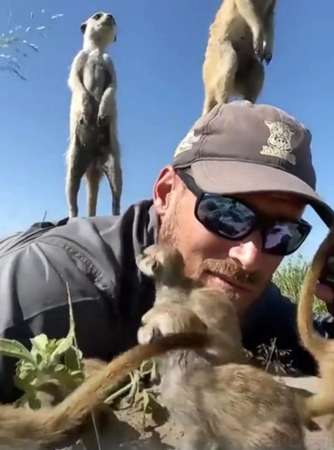 The moment of intimacy between animals and humans, the little beauty of ...