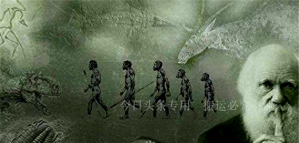 "Prehistoric civilization" has been discovered, will Darwin's ...